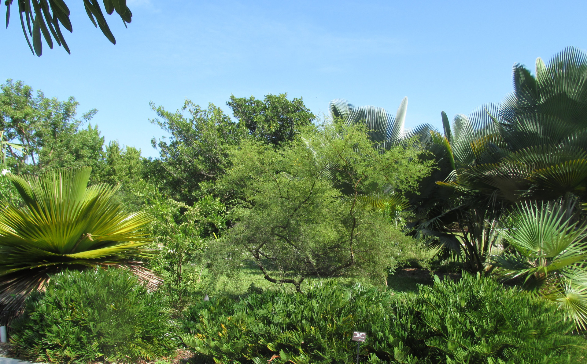GardenFest to Spotlight Key West Tropical Forest & Botanical Garden March 2
