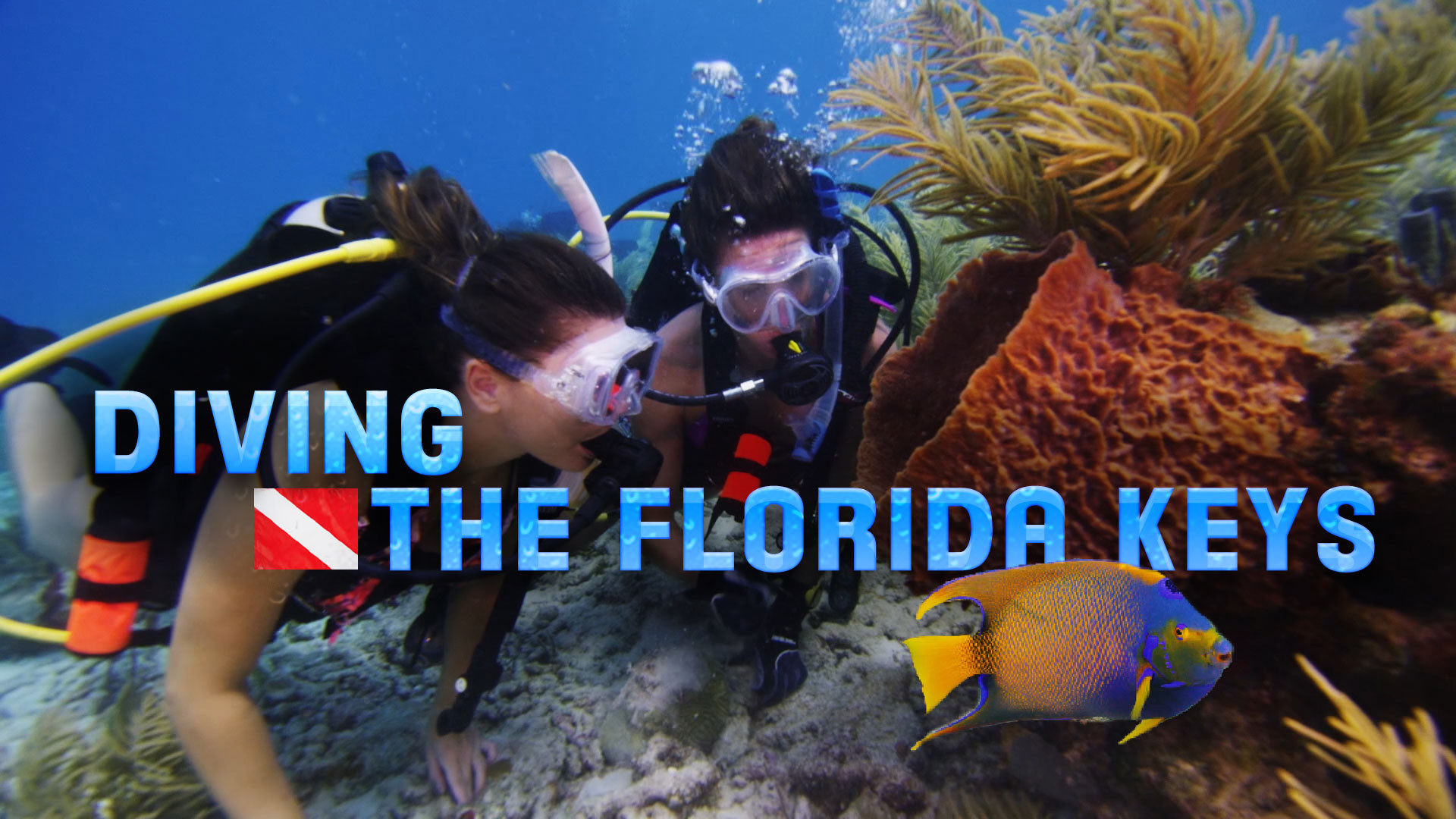 Dive into the Keys’ Underwater World with FloridaKeysTV
