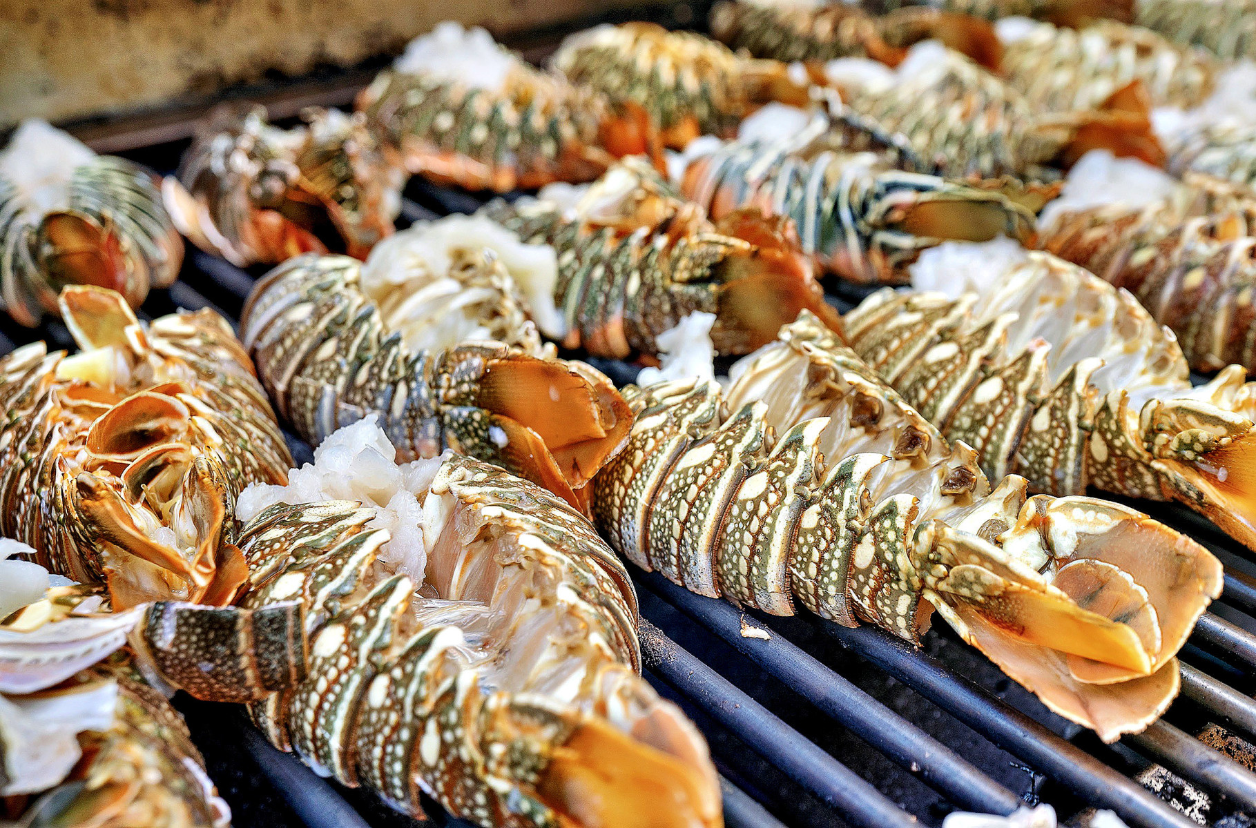 Key West Lobster Best Celebrates Your Favorite Coastal Crustacean