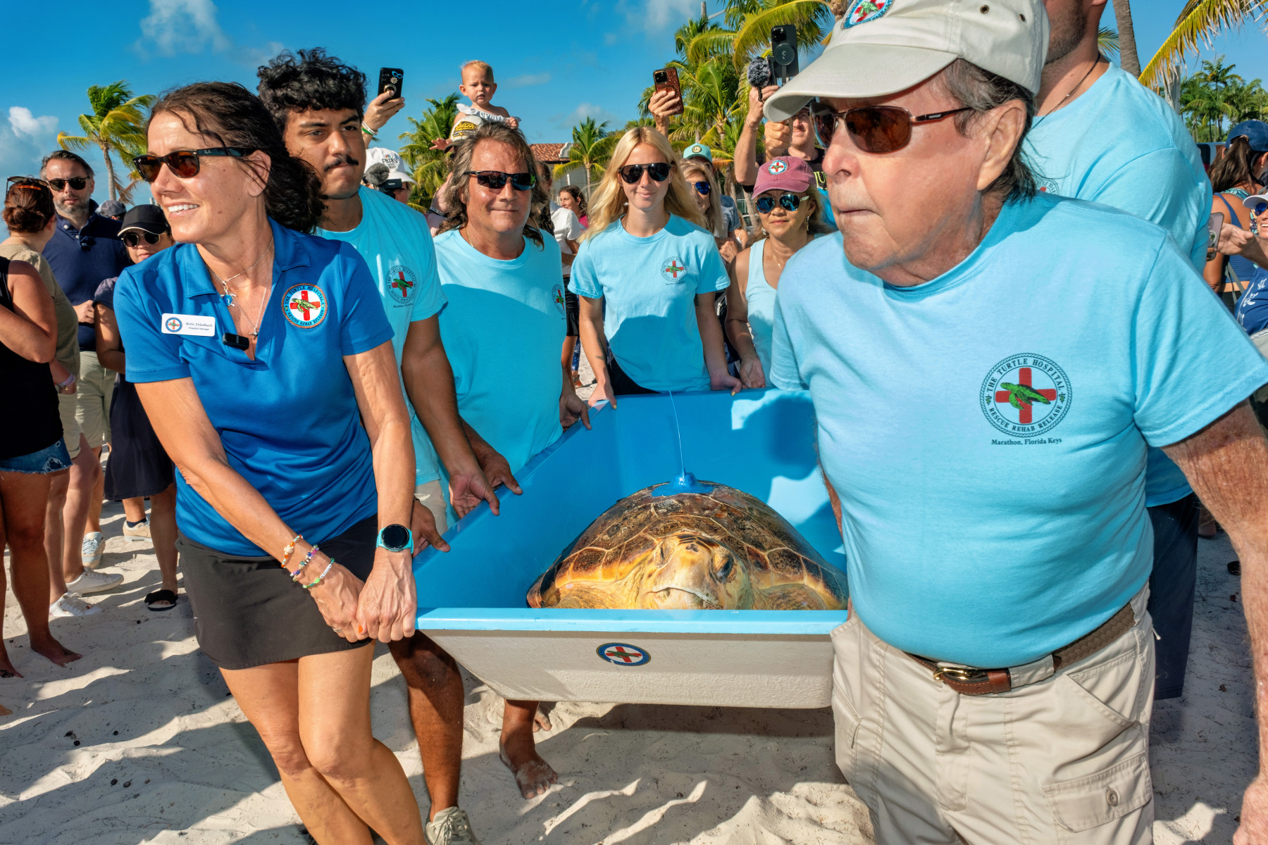 Against All Odds: Internet Sensation "Molly the Sea Turtle” Returns Home