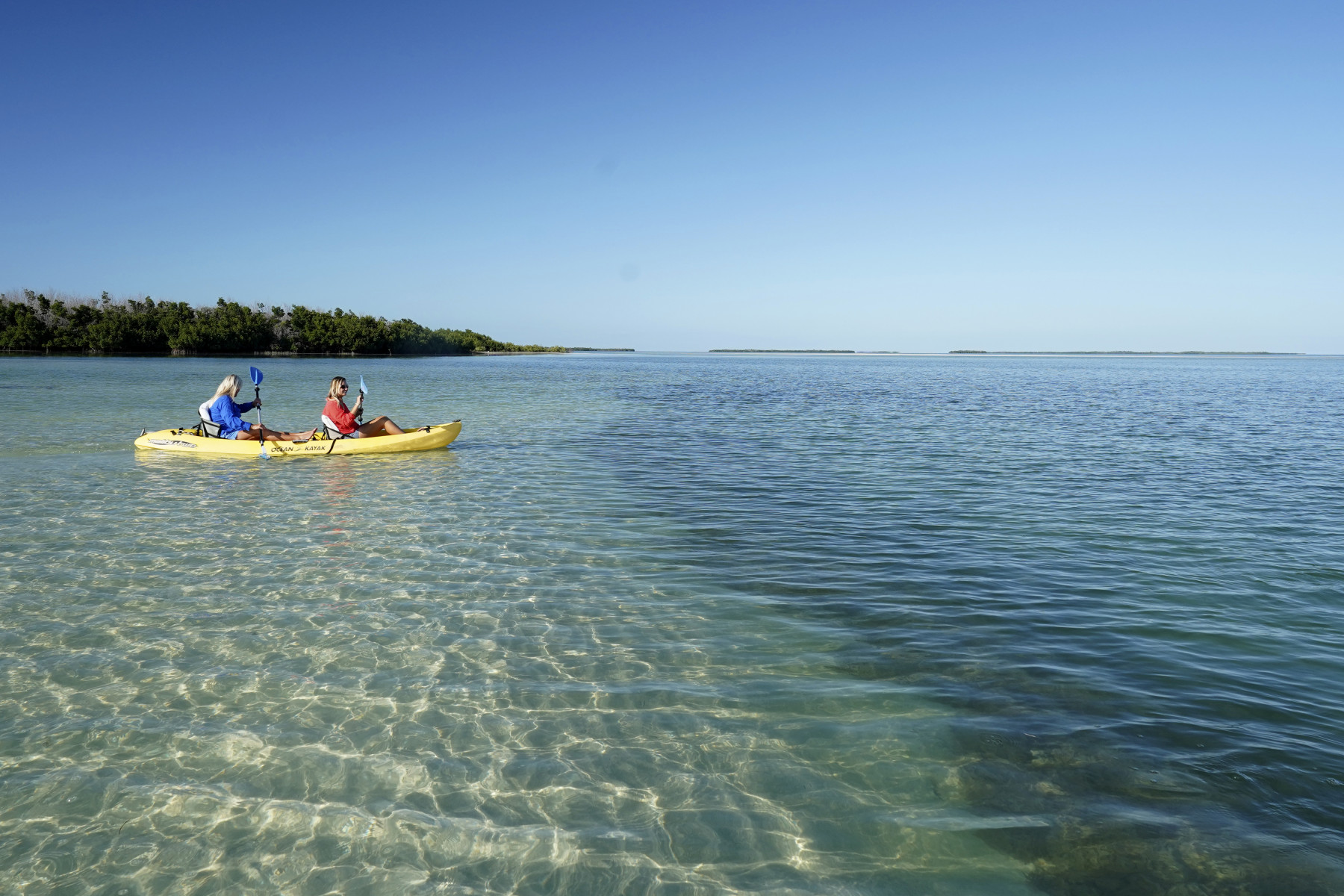 Eco-Experience Bucket List: Lower Keys and Key West