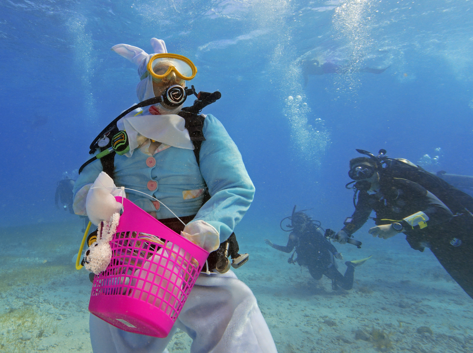 Scuba-Diving 'Easter Bunny' Conducts Underwater Egg Hunt in Florida ...