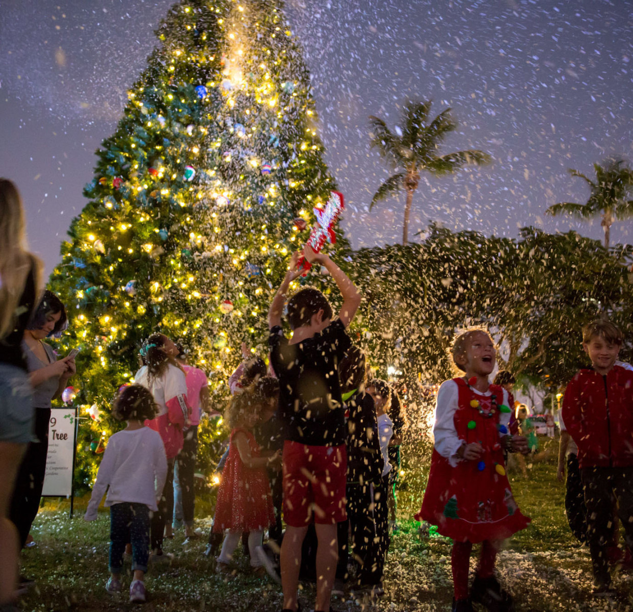 Subtropical Holiday Breeze to Blow Snow at Islamorada Holiday Fest Dec. 1