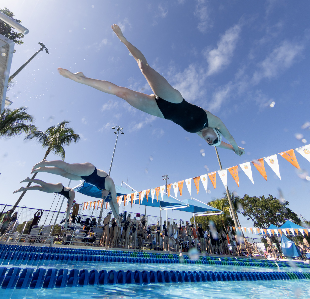 Athletes to Compete at Orange Bowl Swim Classic in Florida Keys Jan. 3