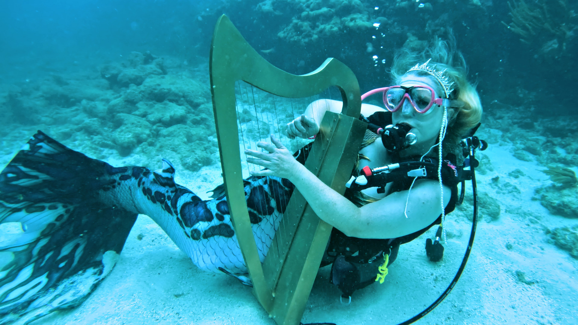 From Key Largo to Key West: A Summer's Worth of Festivals, Event ...