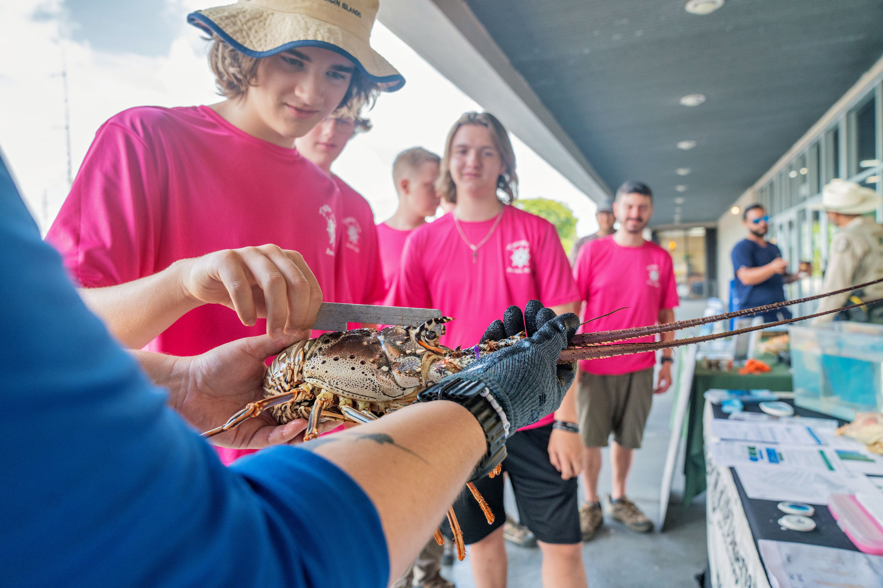 Getting Ready for the 2025 Lobster Mini Season in the Florida Keys