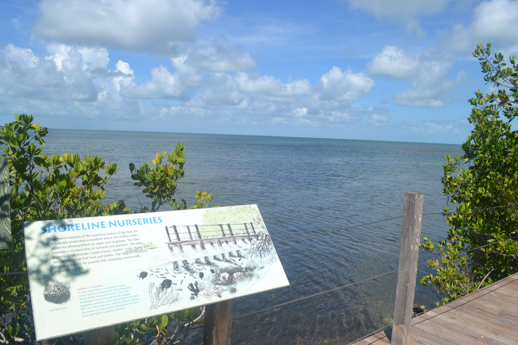 Explore the Cultural Riches of Marathon’s Crane Point