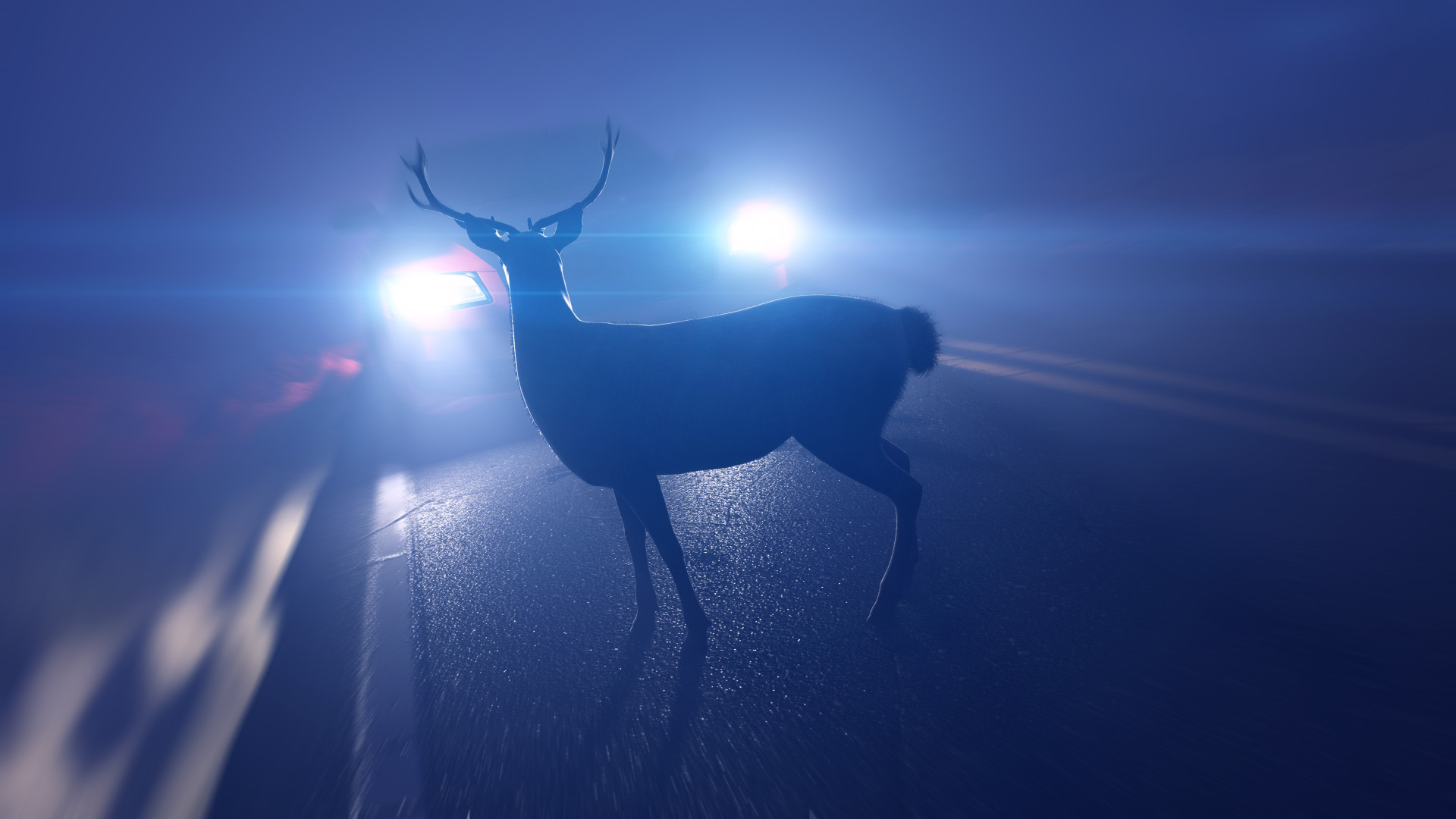 Deer, Darkness and Danger: Fall’s Hidden Traffic Hazards