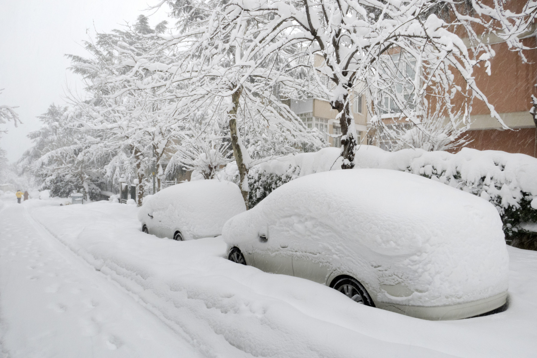 AAA Urges Homeowners and Drivers to Assess Potential Damage Following ...