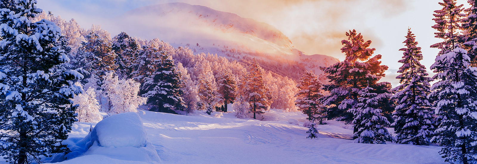 Year-End Holiday Travel Expected to Set New Record