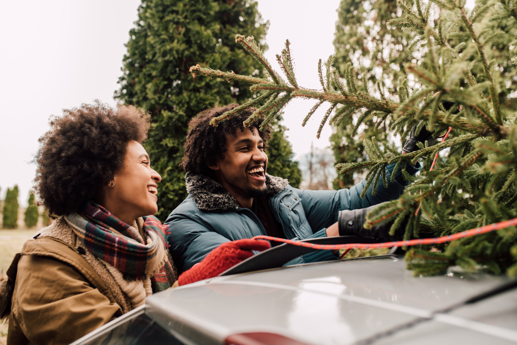 Secure your Tree Before Driving it Home