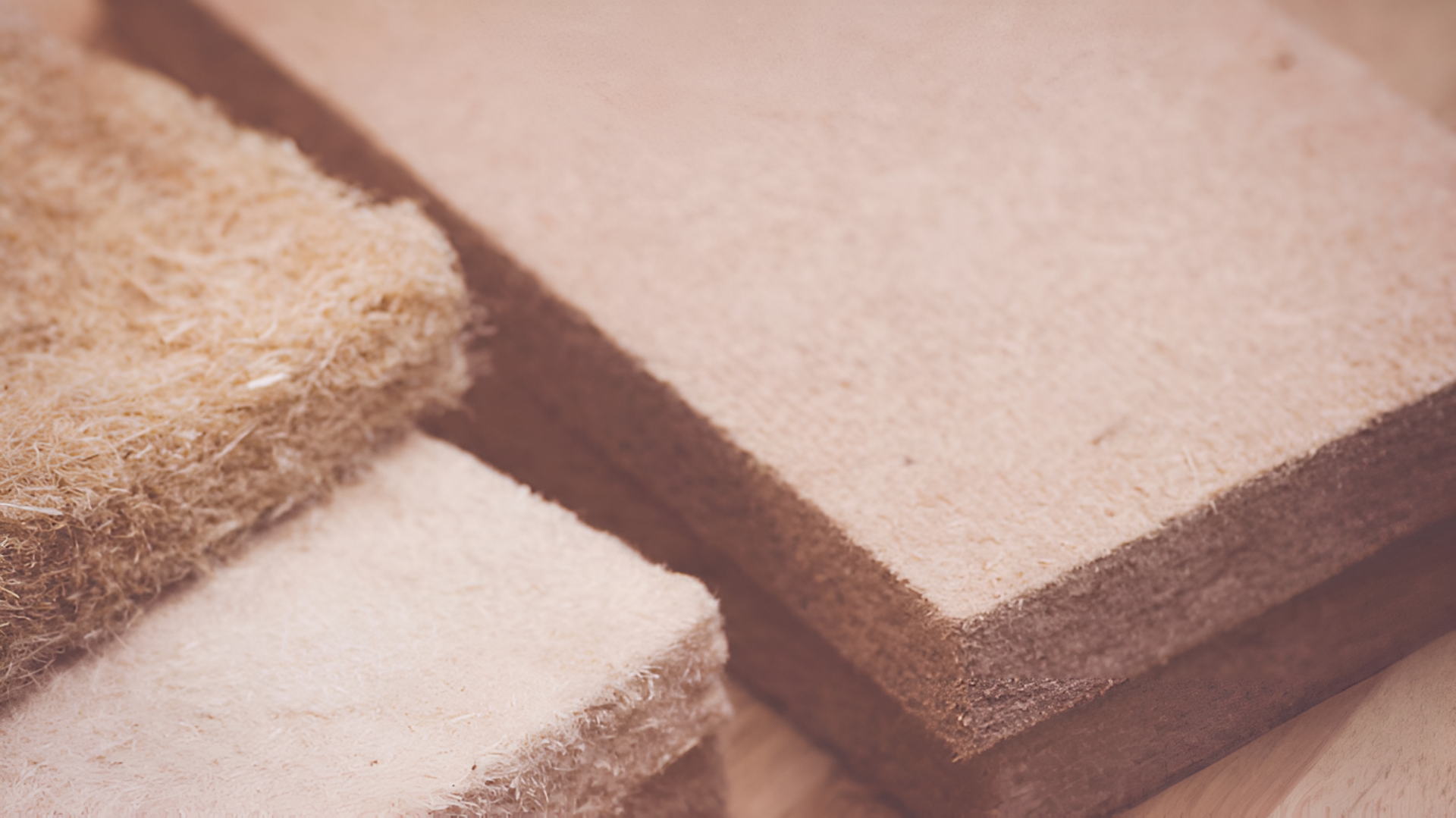 Avantium participates in innovative Hemp2Comp project: from hemp to ...