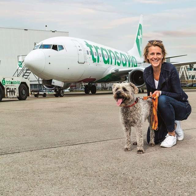 Pets travel for free with Transavia on Animal Day