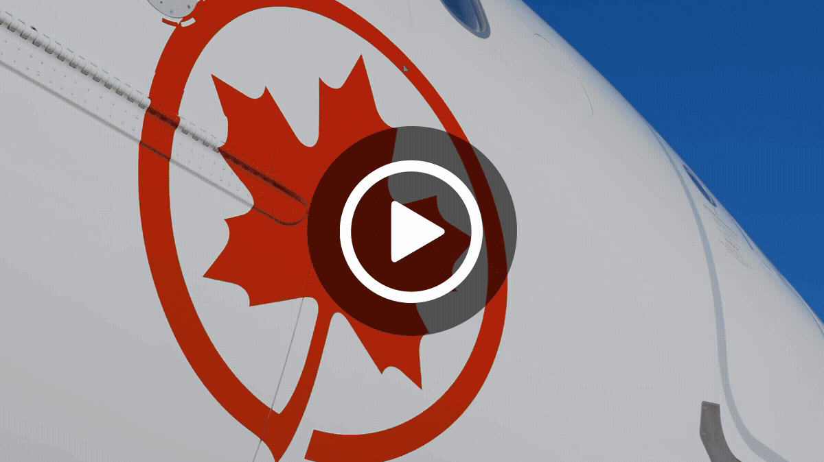 The Airbus A321 XLR, our newest bird, just spread its wings!