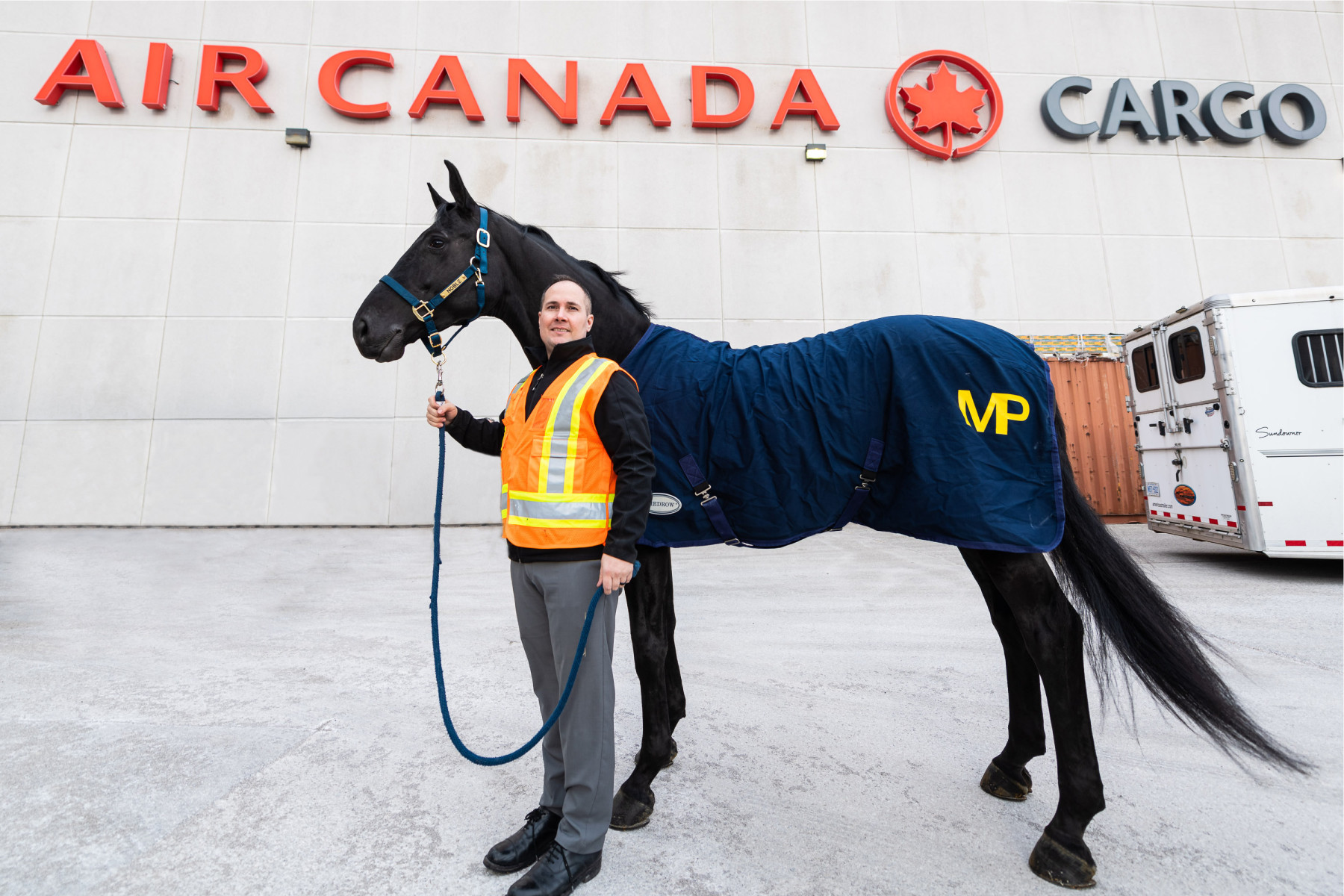 A Horse Fit for a King: Air Canada Cargo helps deliver RCMP’s Noble to ...
