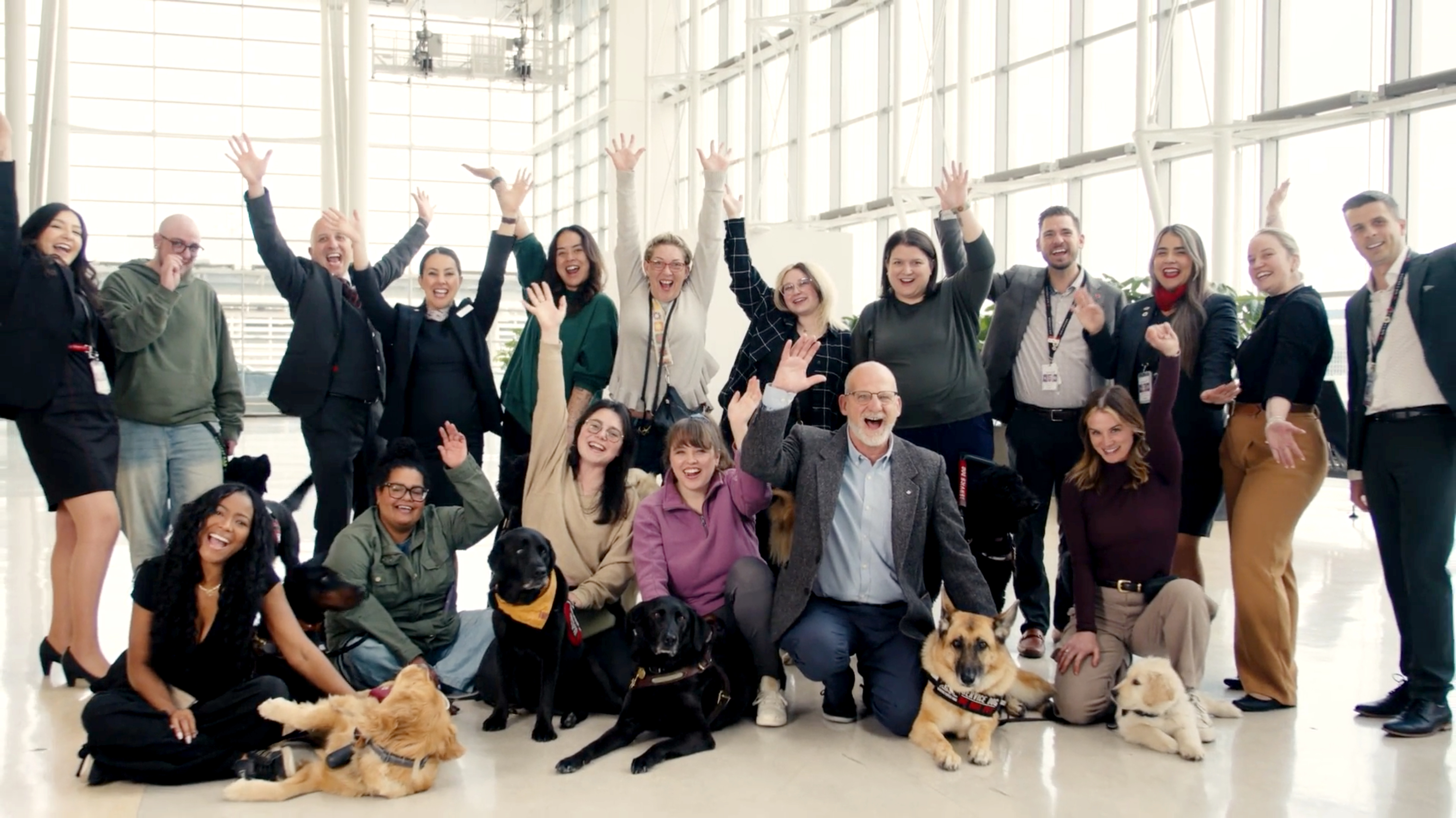 Air Canada Launches Certification Path for Service Dogs through ...
