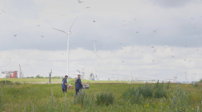 Celebrating 10 years of breeding island Pier van Oterdum