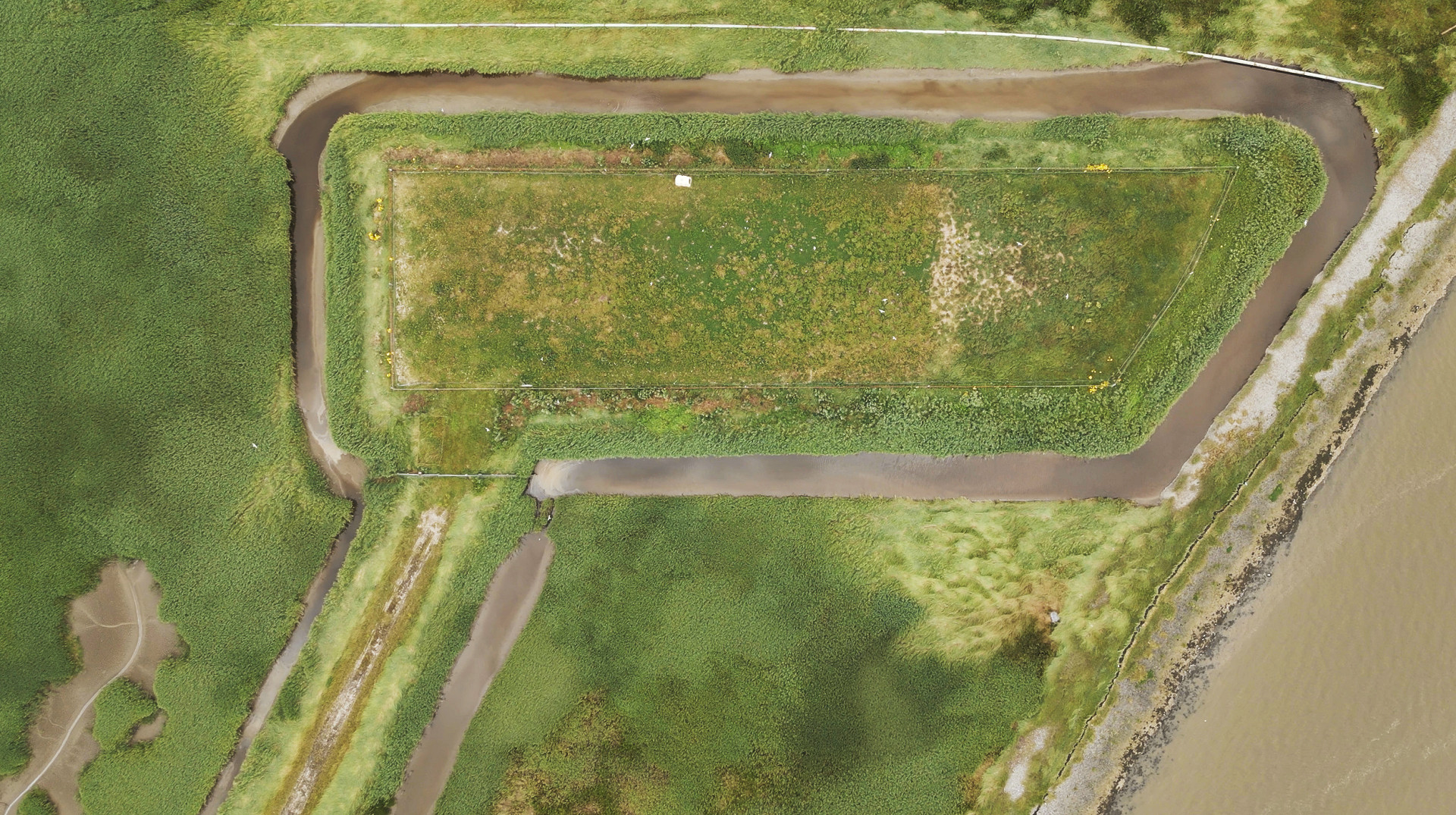 Celebrating 10 years of breeding island Pier van Oterdum