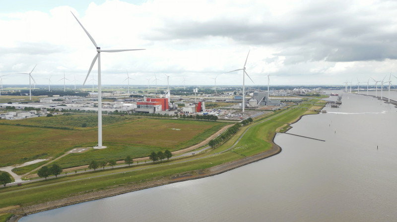 Celebrating 10 years of breeding island Pier van Oterdum