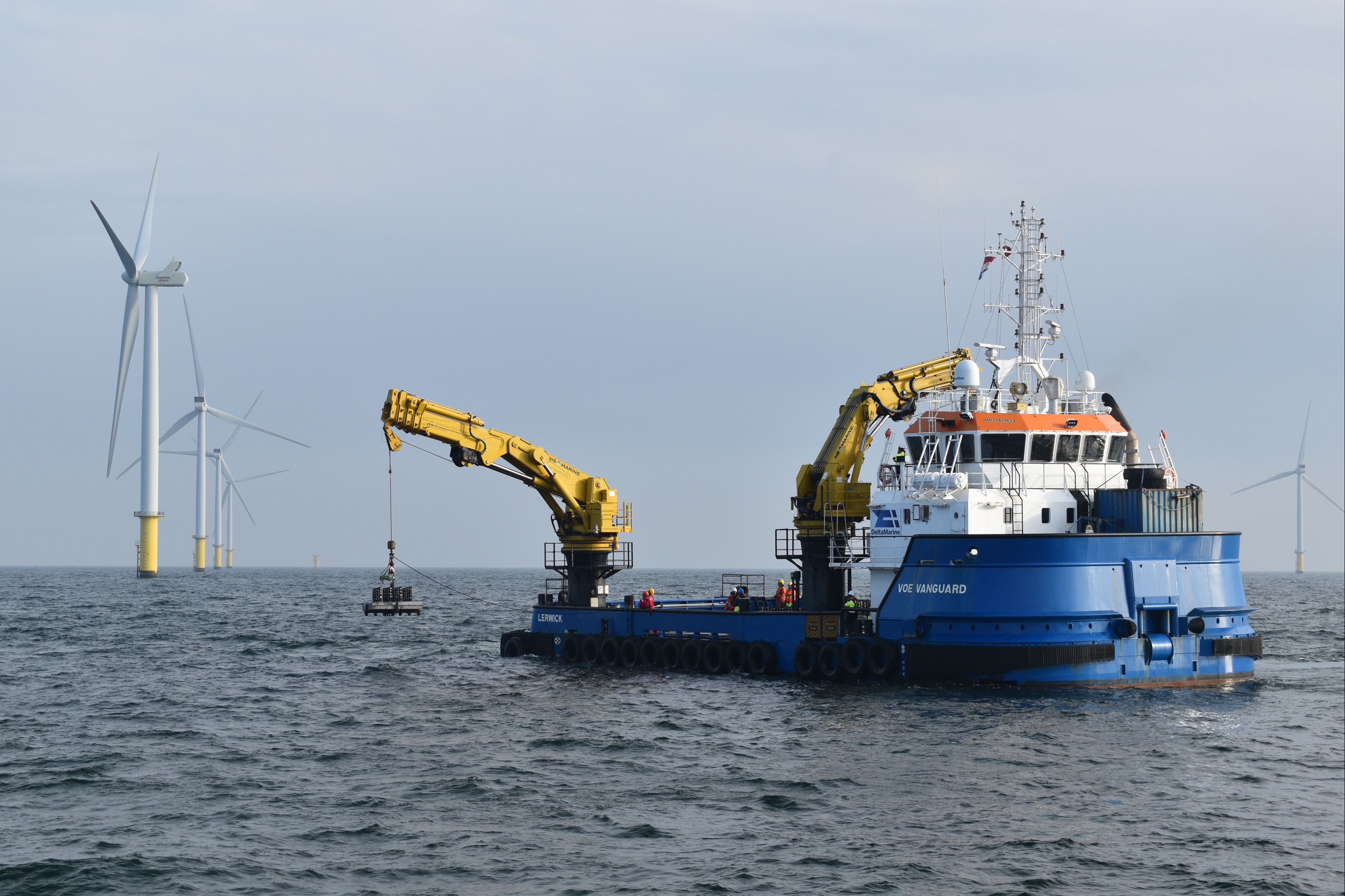 Latest innovation for restoring oyster reefs installed in Luchterduinen ...