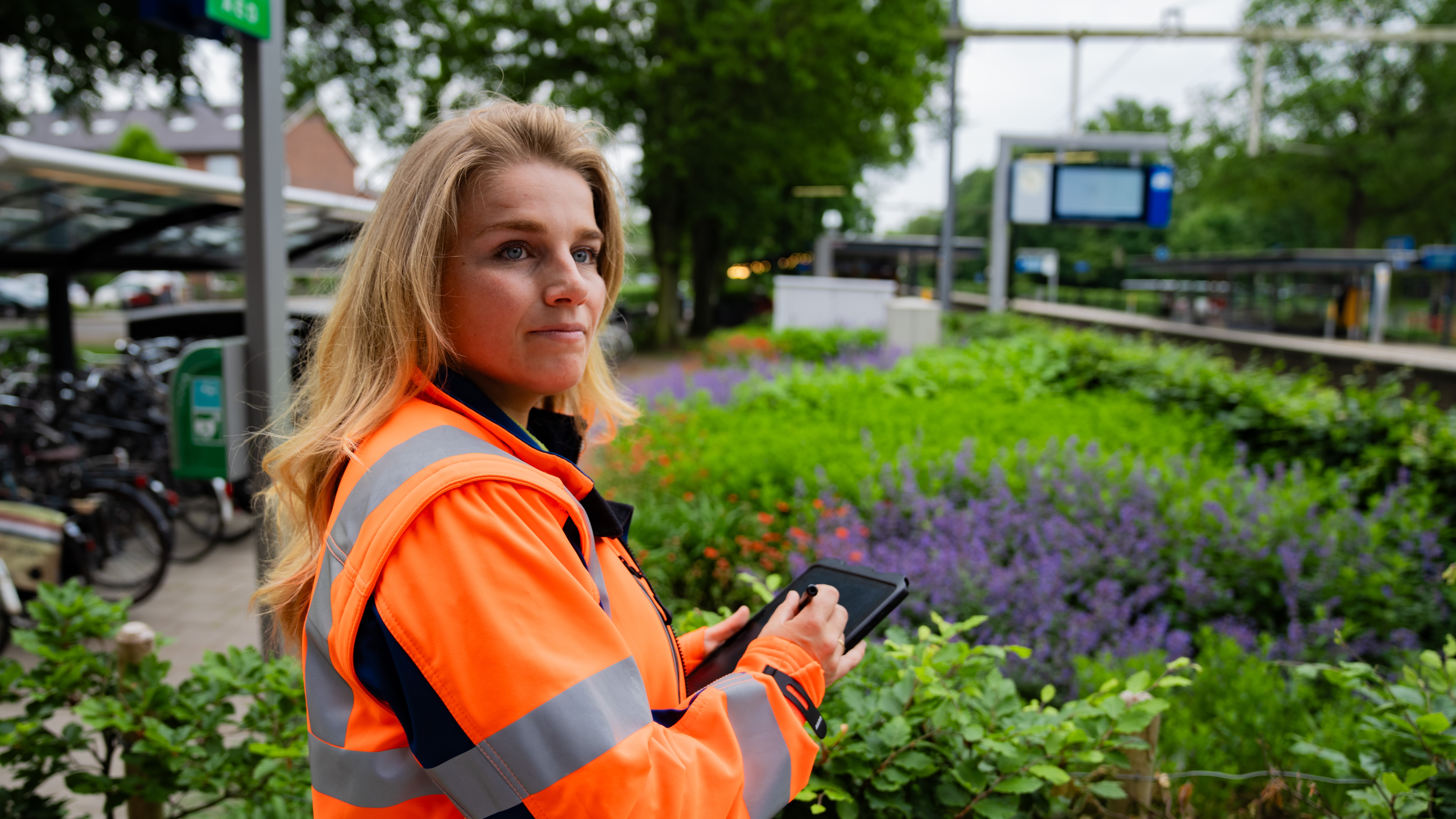 NS en ProRail brengen natuur op stations in kaart