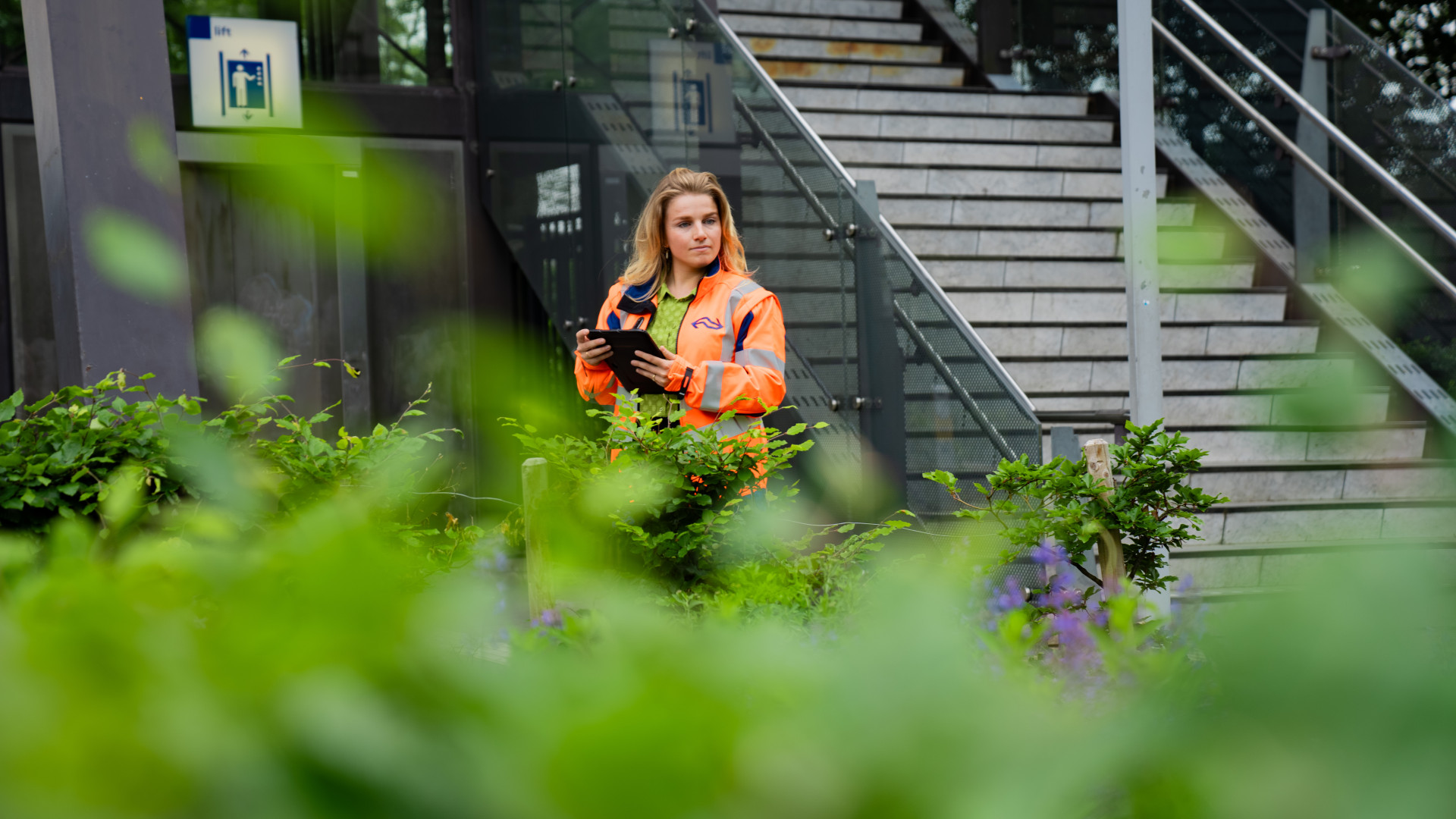 NS en ProRail brengen natuur op stations in kaart