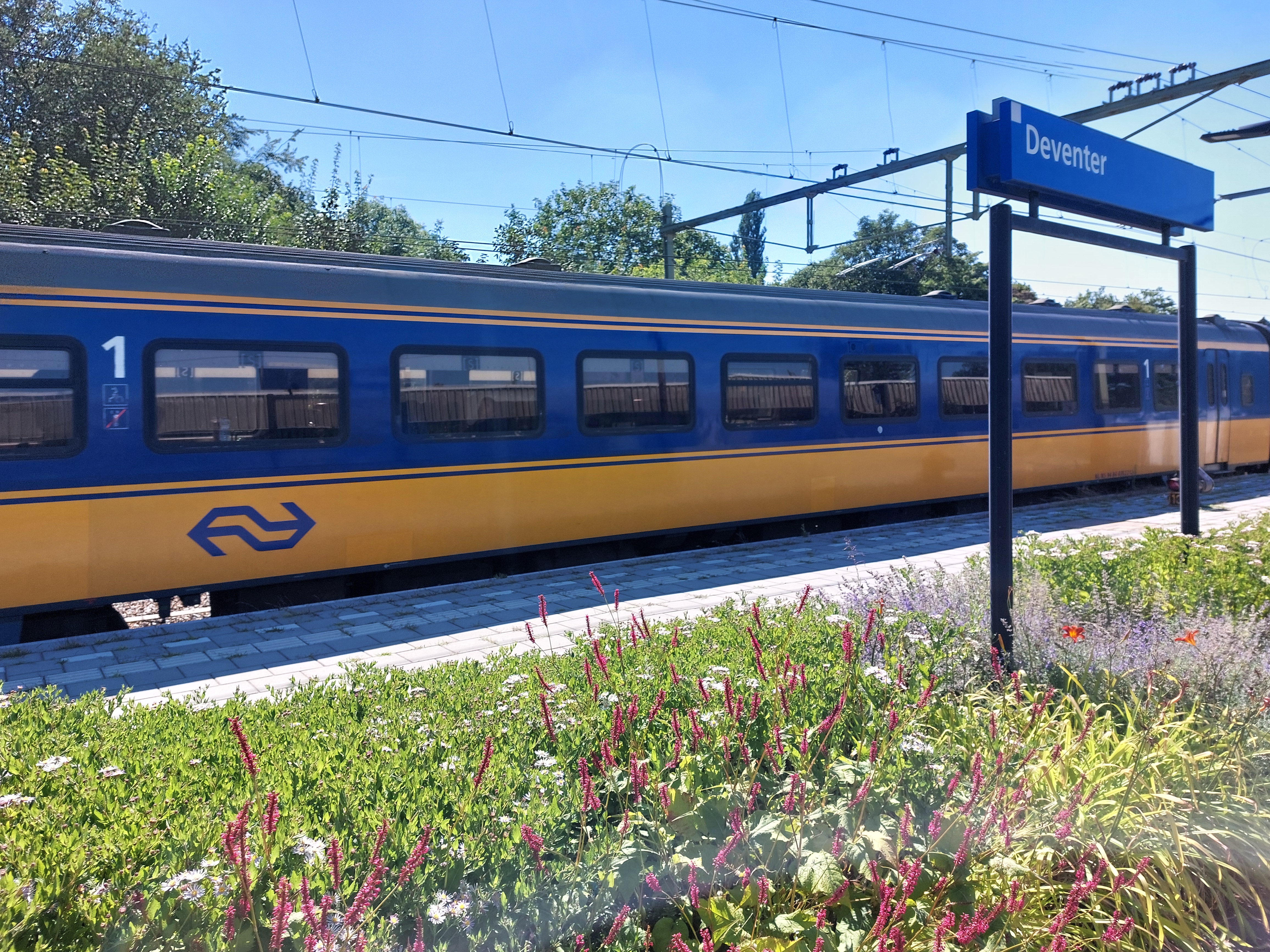 NS en ProRail brengen natuur op stations in kaart