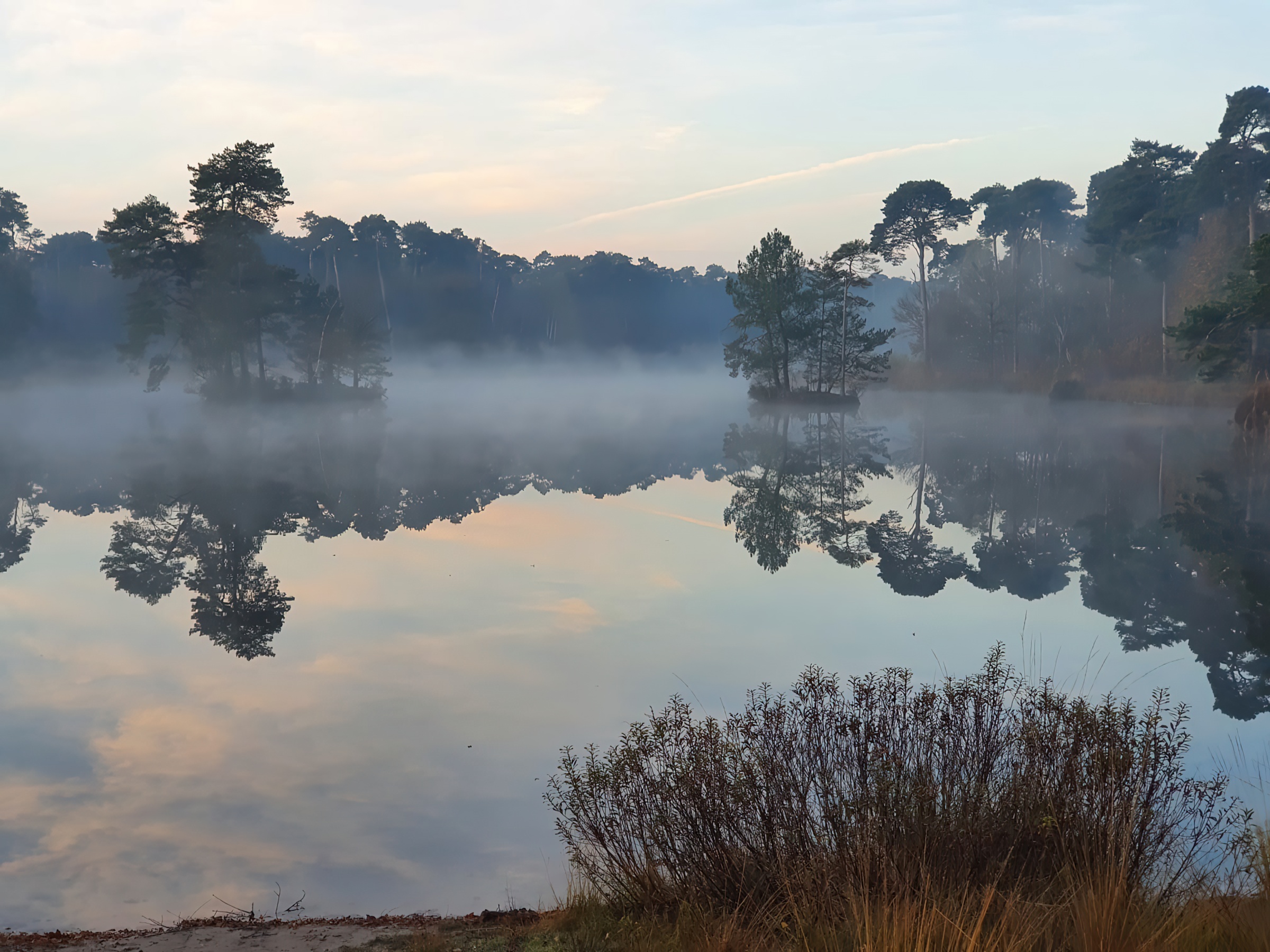 Landal Klein Oisterwijk klaar voor eerste gasten