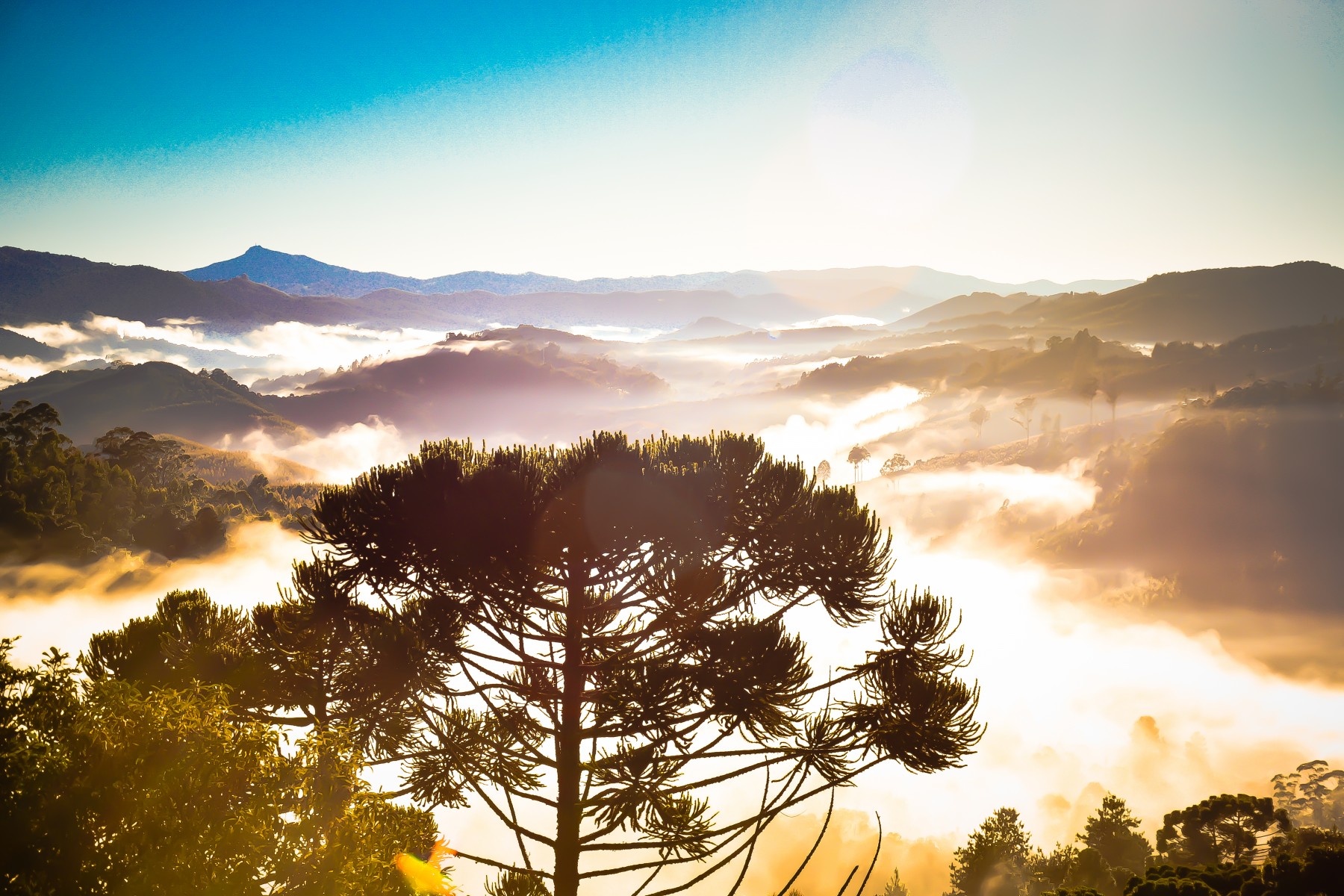 Monte Verde (MG) entra na lista dos 10 lugares mais acolhedores do mundo