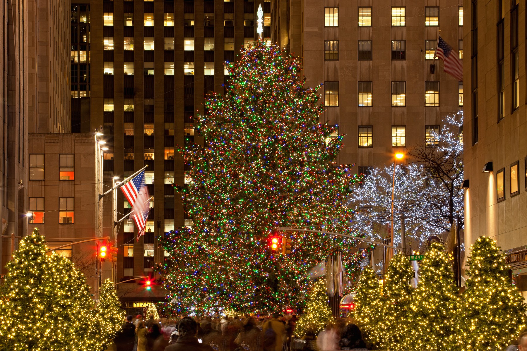 Discover the World's Most Iconic Christmas Trees