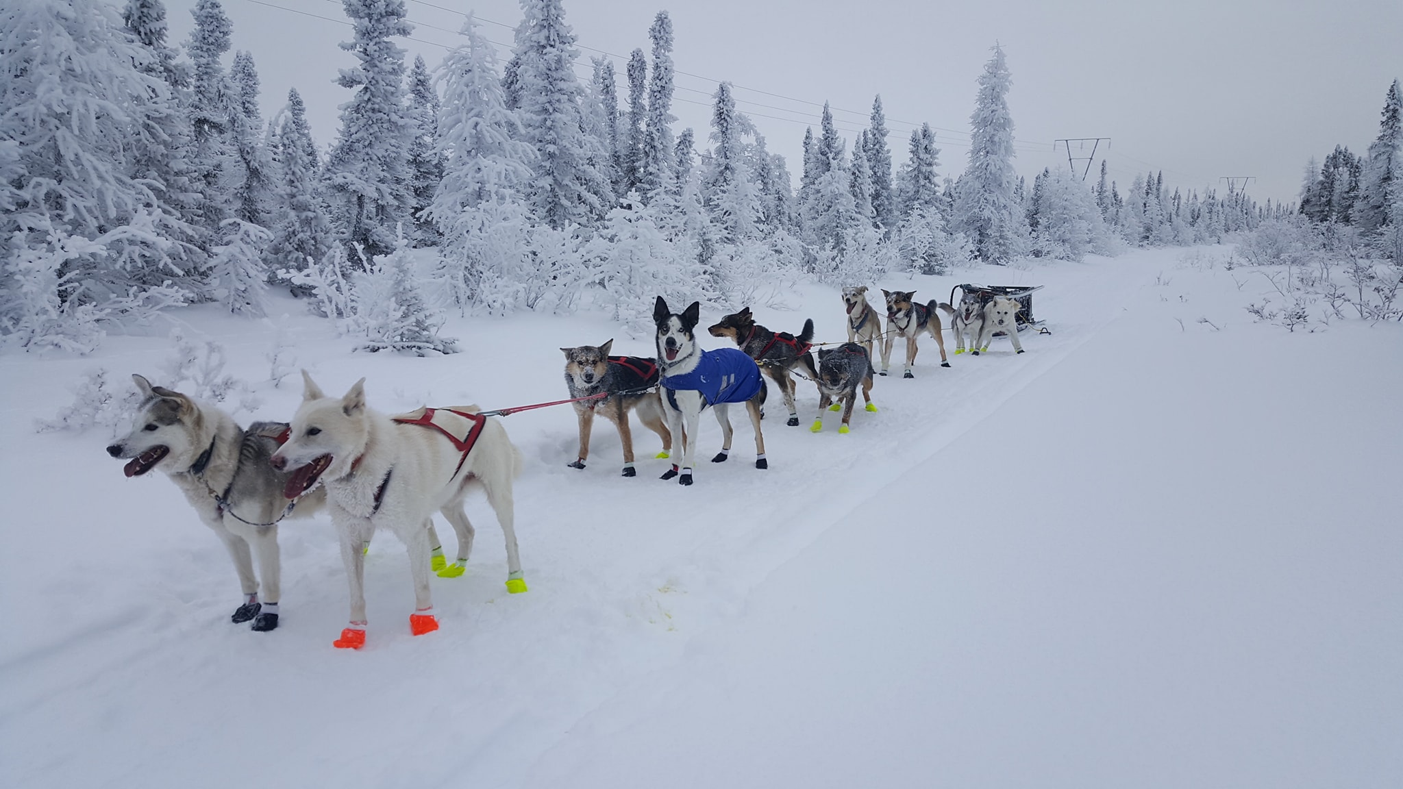 Take Your Pick: Four Destinations to Witness Solar Activity in 2025