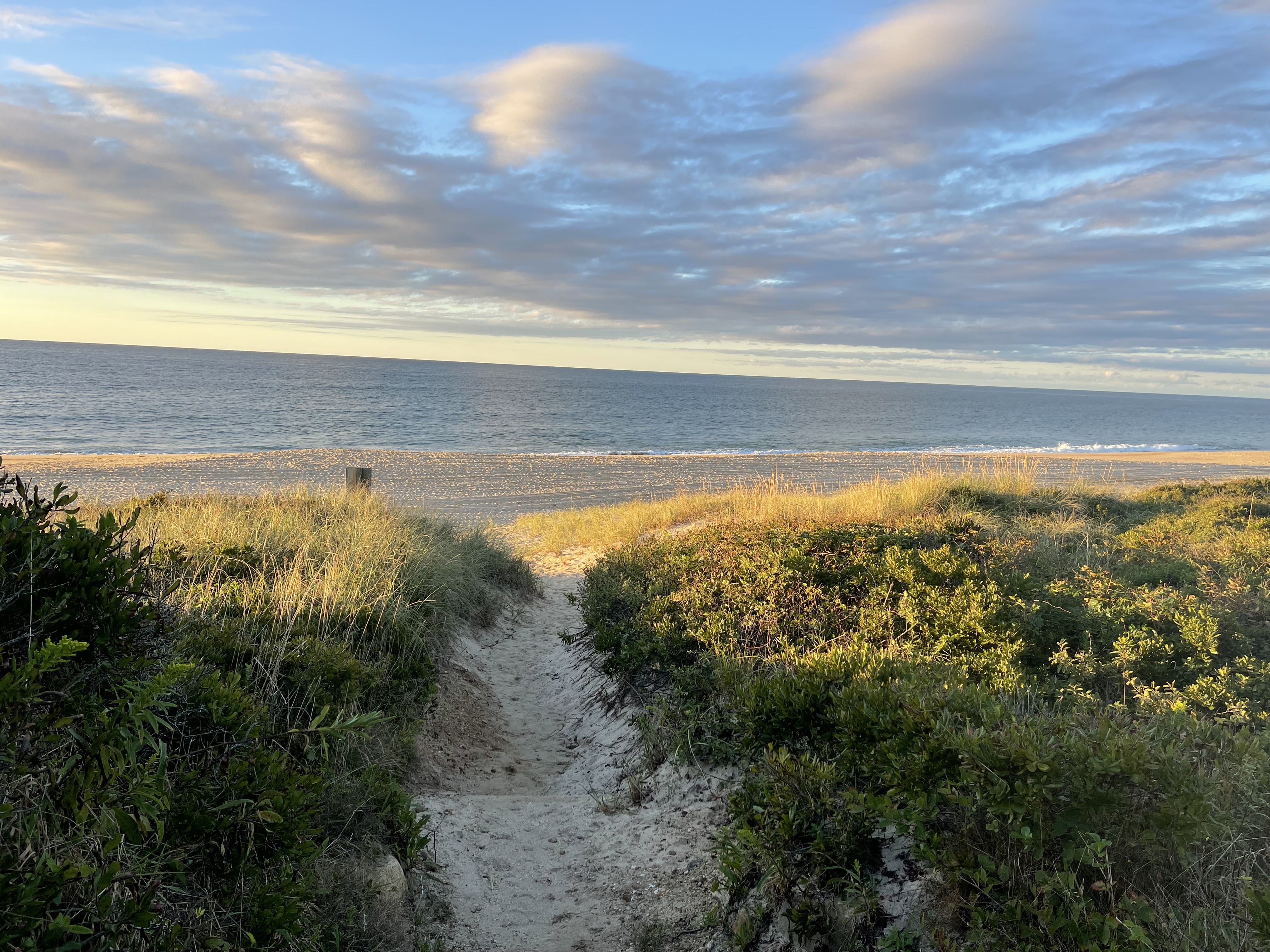 Surf's Up Dude: Booking.com Shares The Best 'Off The Beaten Path ...