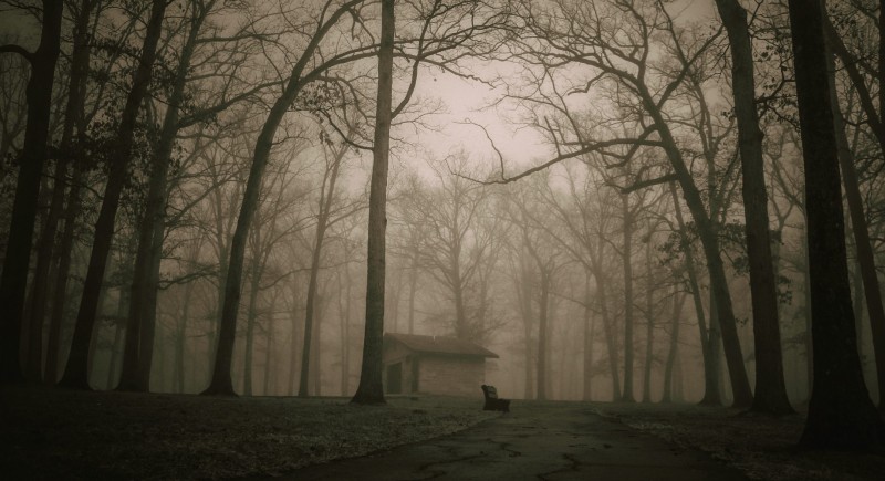 Haunted Homes, Creepy Hostels and Spooky Castles...as Revealed by ...