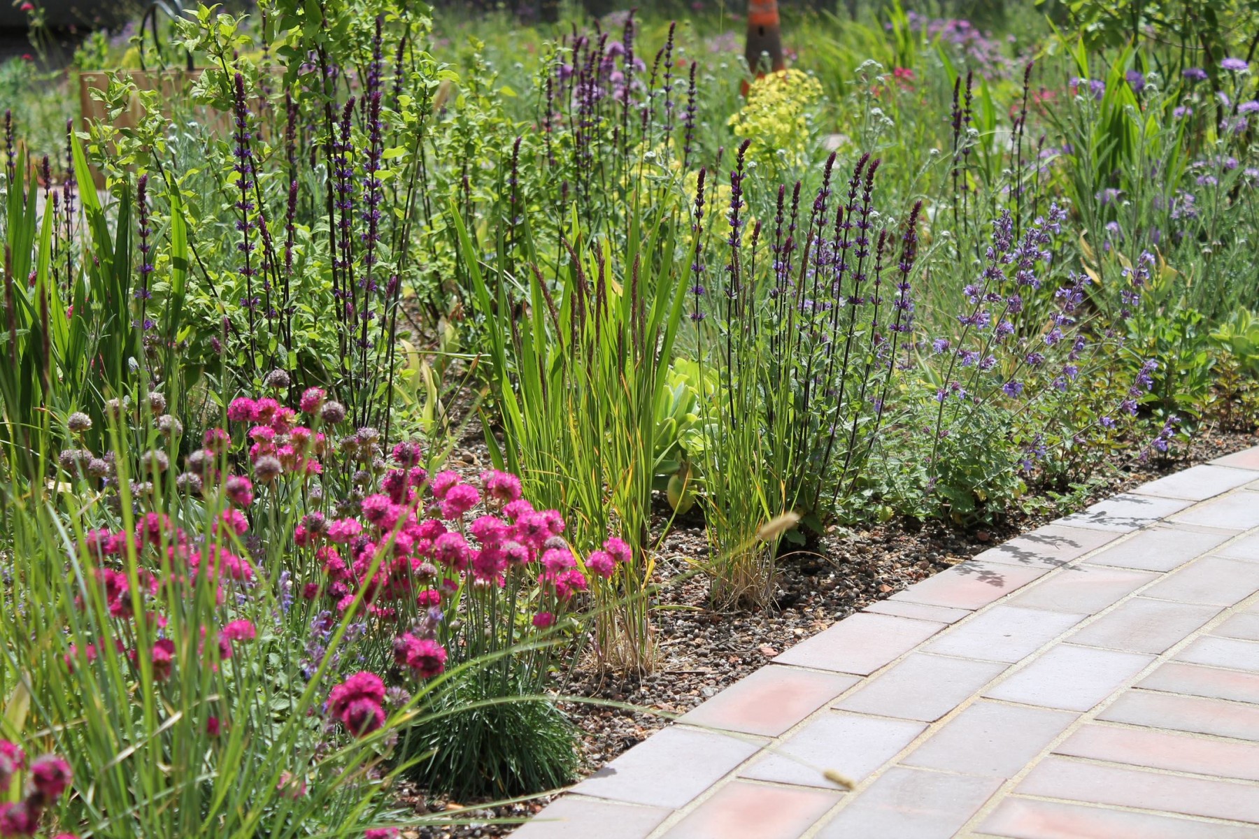 New action plan to boost biodiversity in the City