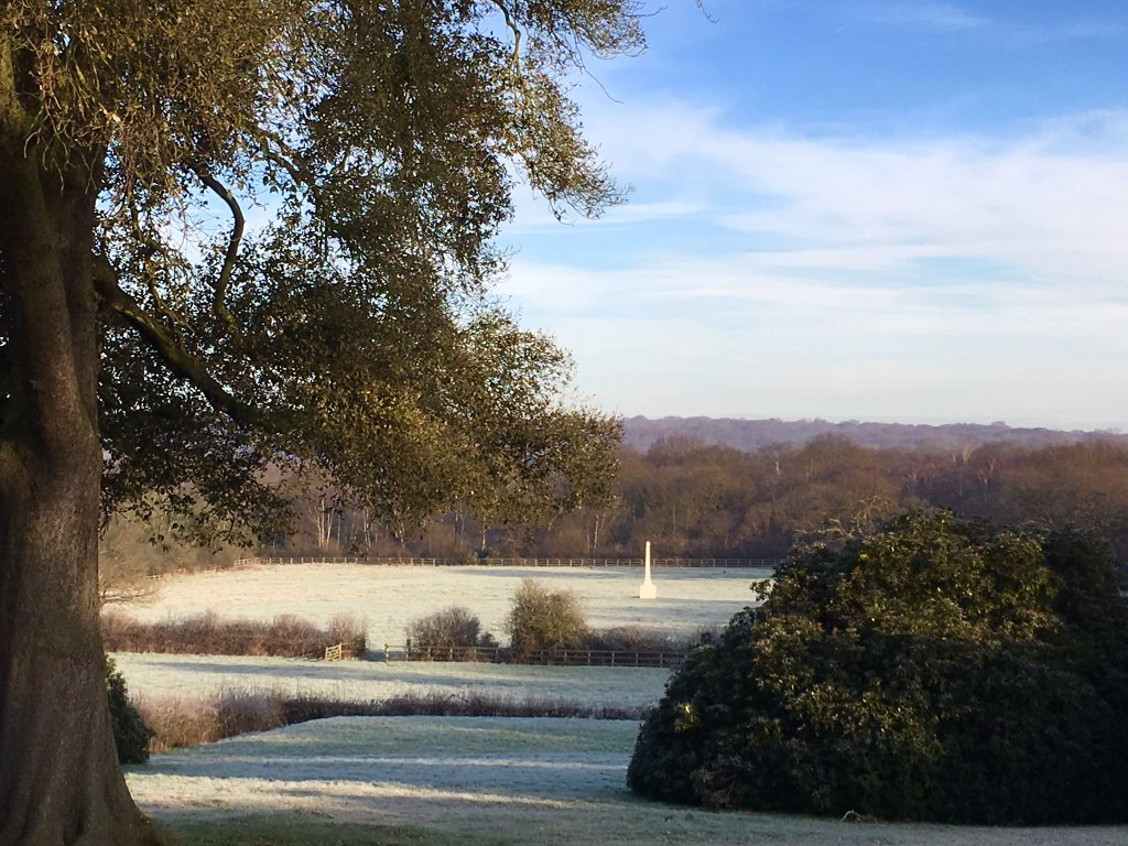 Bushcraft events at Epping Forest