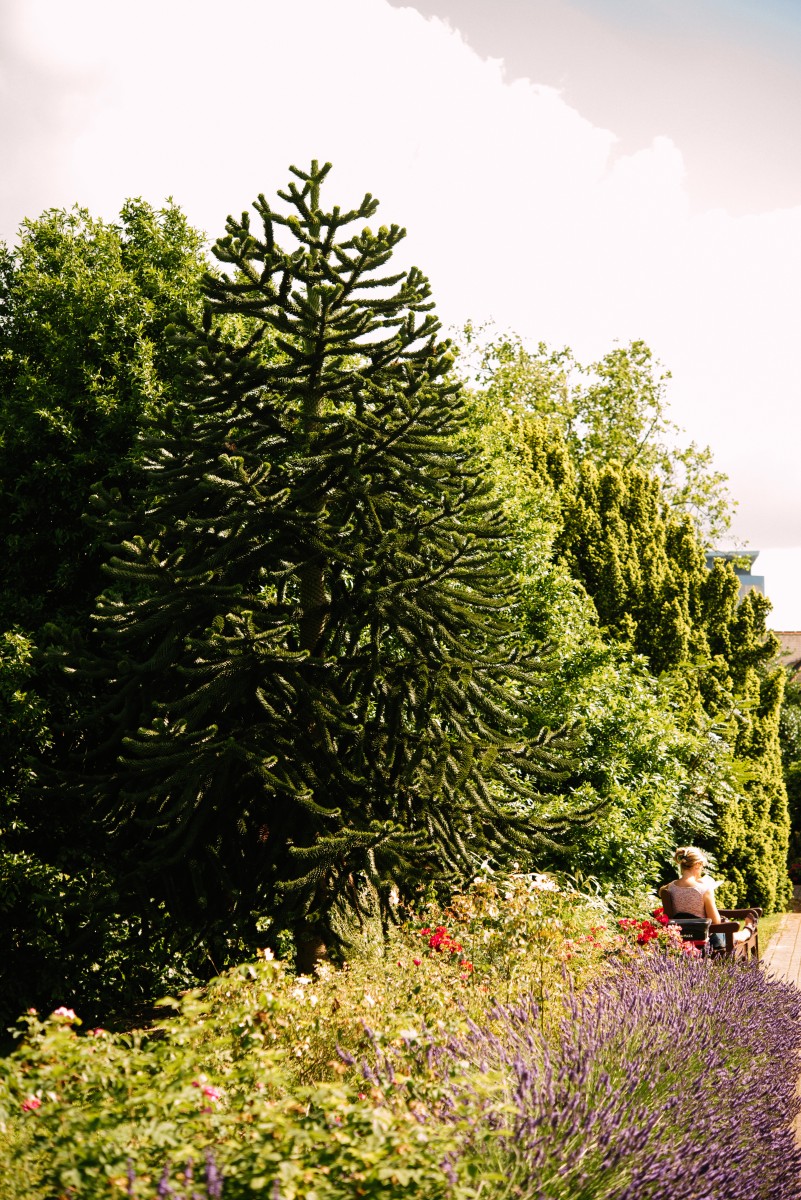 National Tree Week: new trees planted at West Ham Park