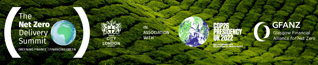 Net Zero Delivery Summit launched