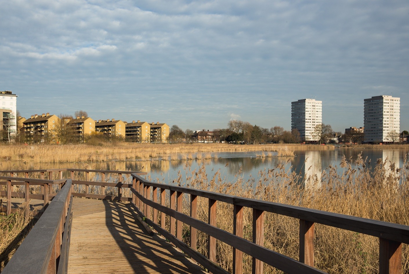 New drive to get Hackney residents close to nature