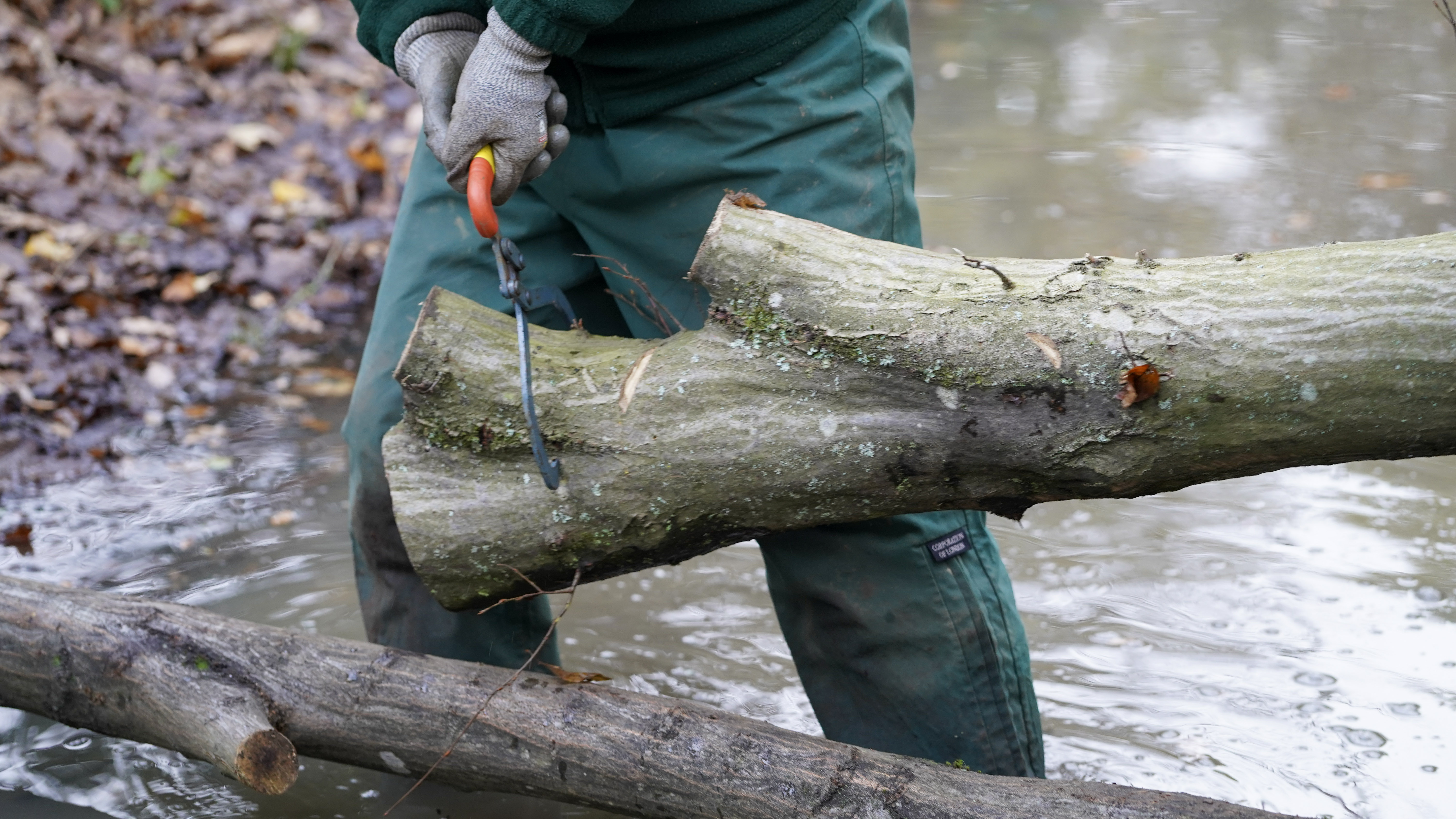 500 homes, local habitats and wildlife will benefit from Epping Forest ...