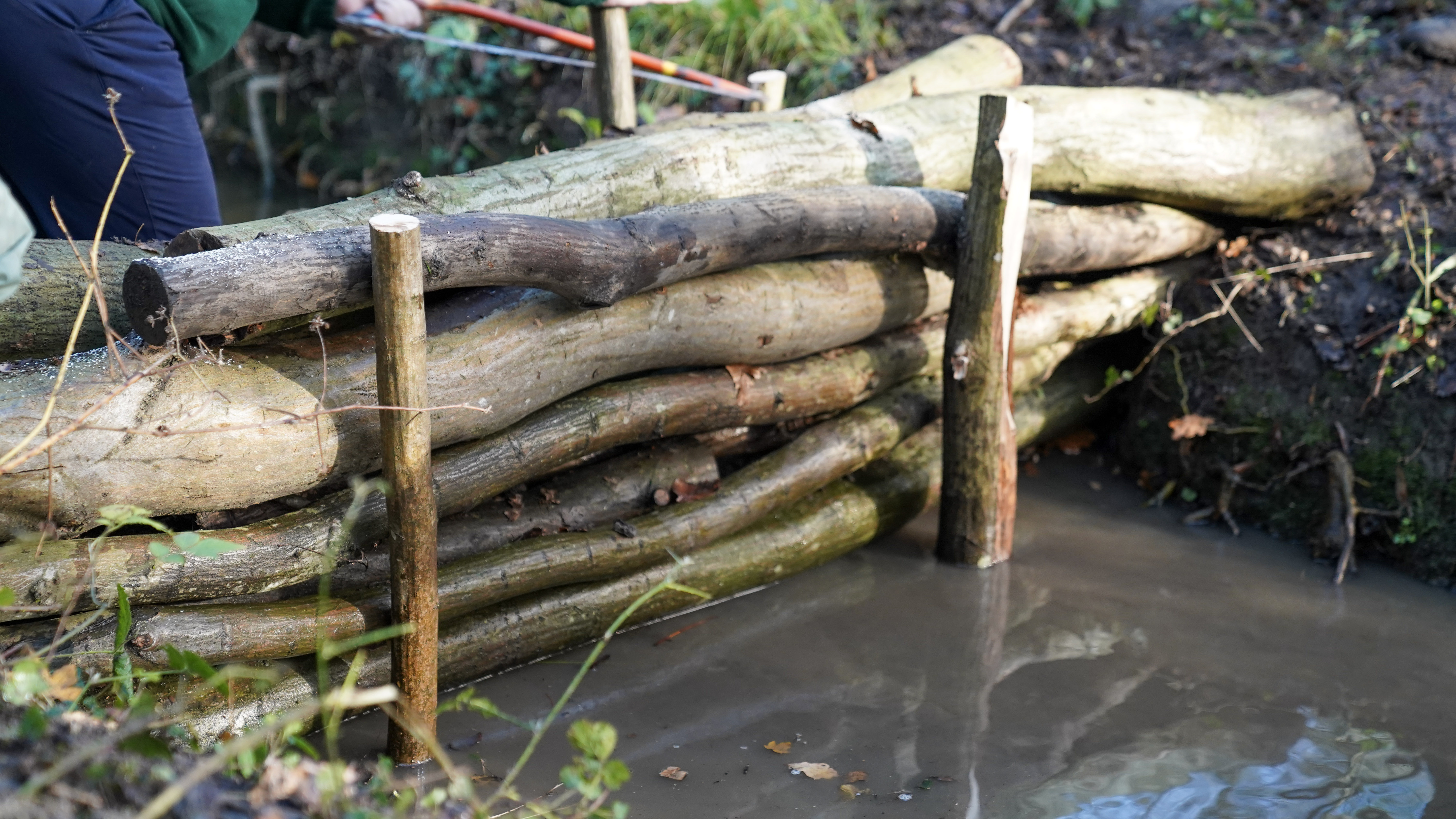 500 homes, local habitats and wildlife will benefit from Epping Forest ...