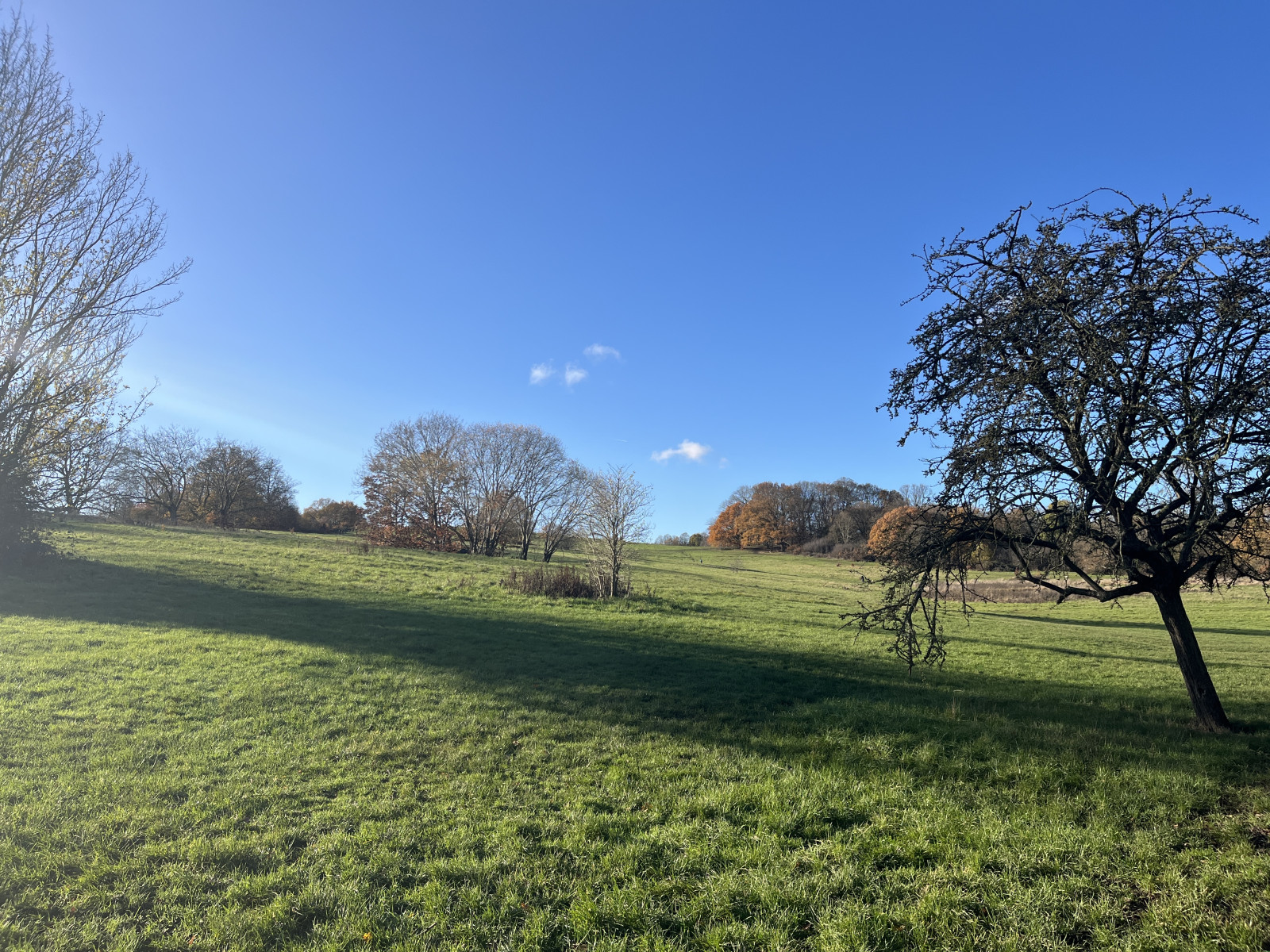 Daisy Green set to bring fresh flavours and vibrant community programmes to Hampstead Heath and ...