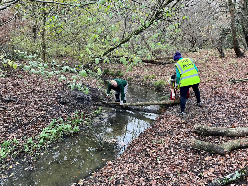 500 homes, local habitats and wildlife will benefit from Epping Forest ...