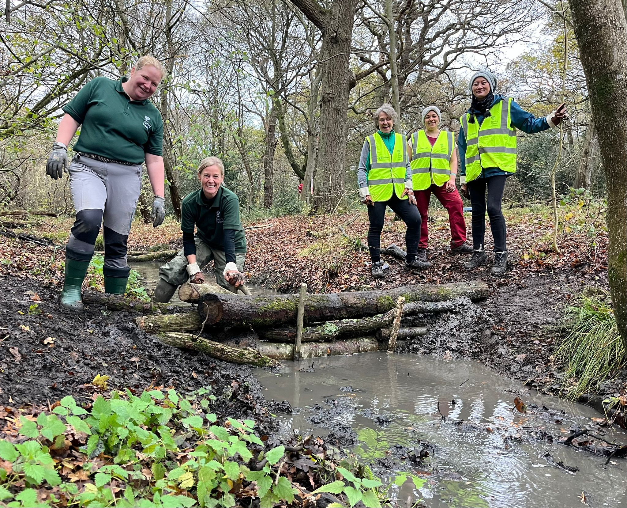 500 homes, local habitats and wildlife will benefit from Epping Forest ...